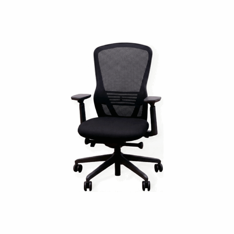 Senator Ousby Task Chair, Black - Office Resale